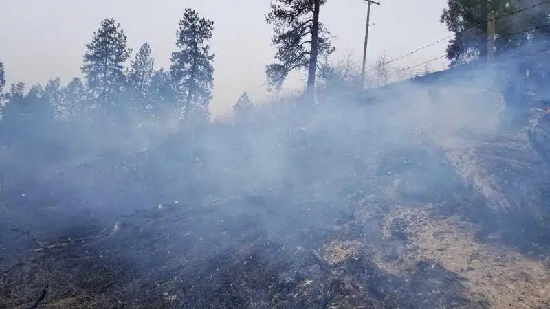 Wildfire smoke creeping further south from fires in Alberta, Northern B ...