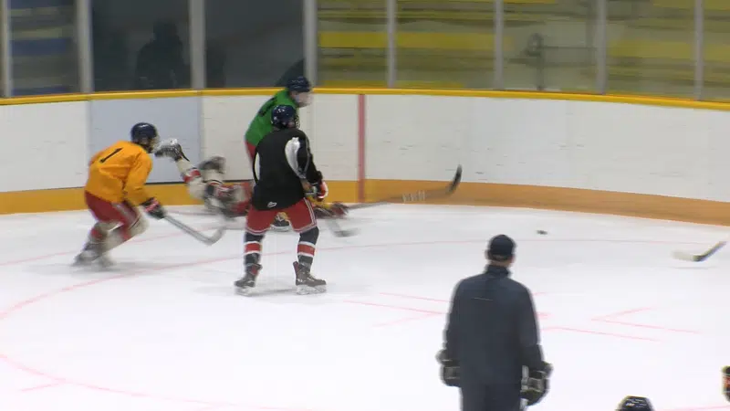 Draft recreation plan calls for three more ice sheets, better leisure ...