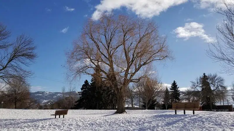 Warming trend bringing Kamloops temperatures above freezing | CFJC ...
