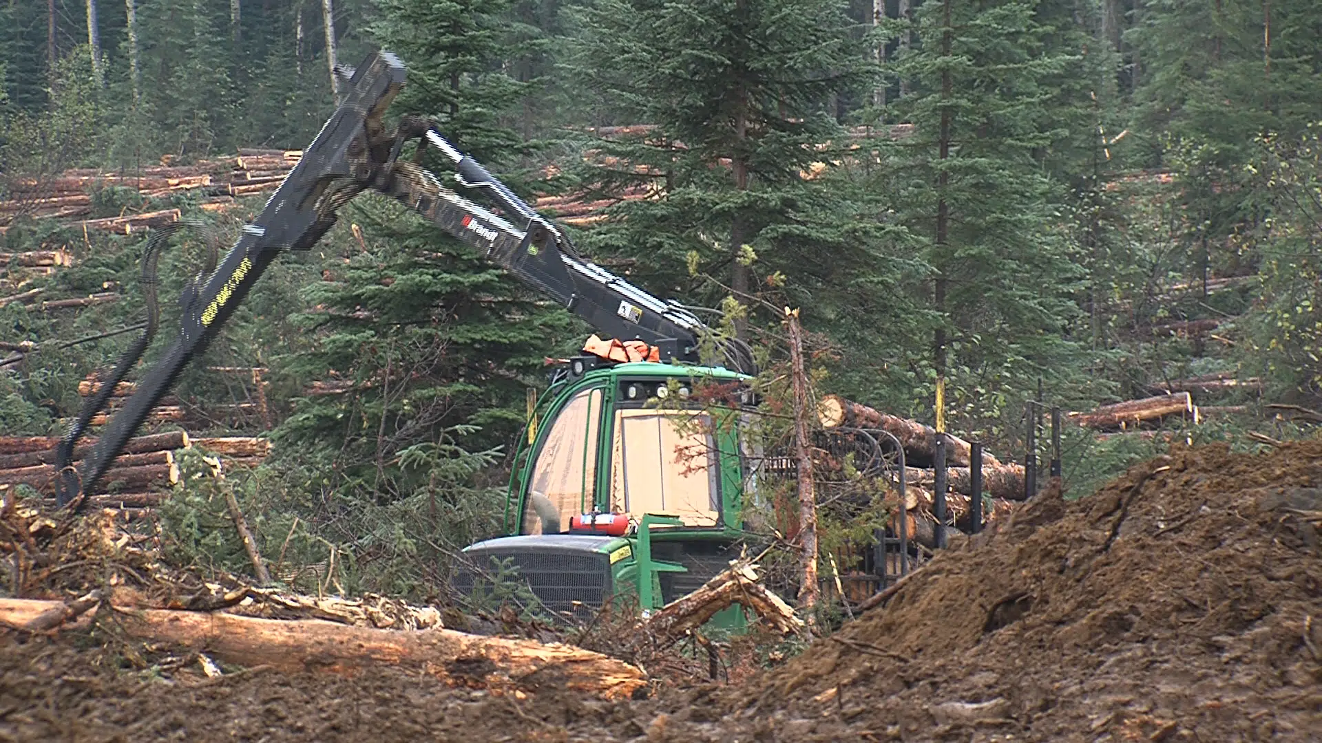 New Annual Allowable Cut Levels Set | CKPGToday.ca