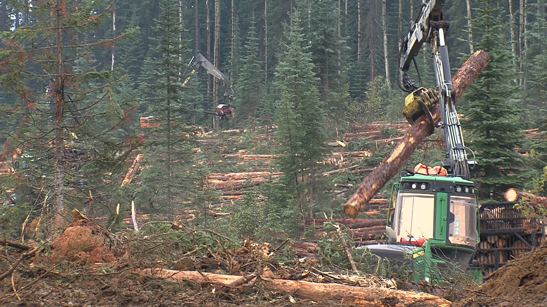 Tentative forestry deal | CKPGToday.ca