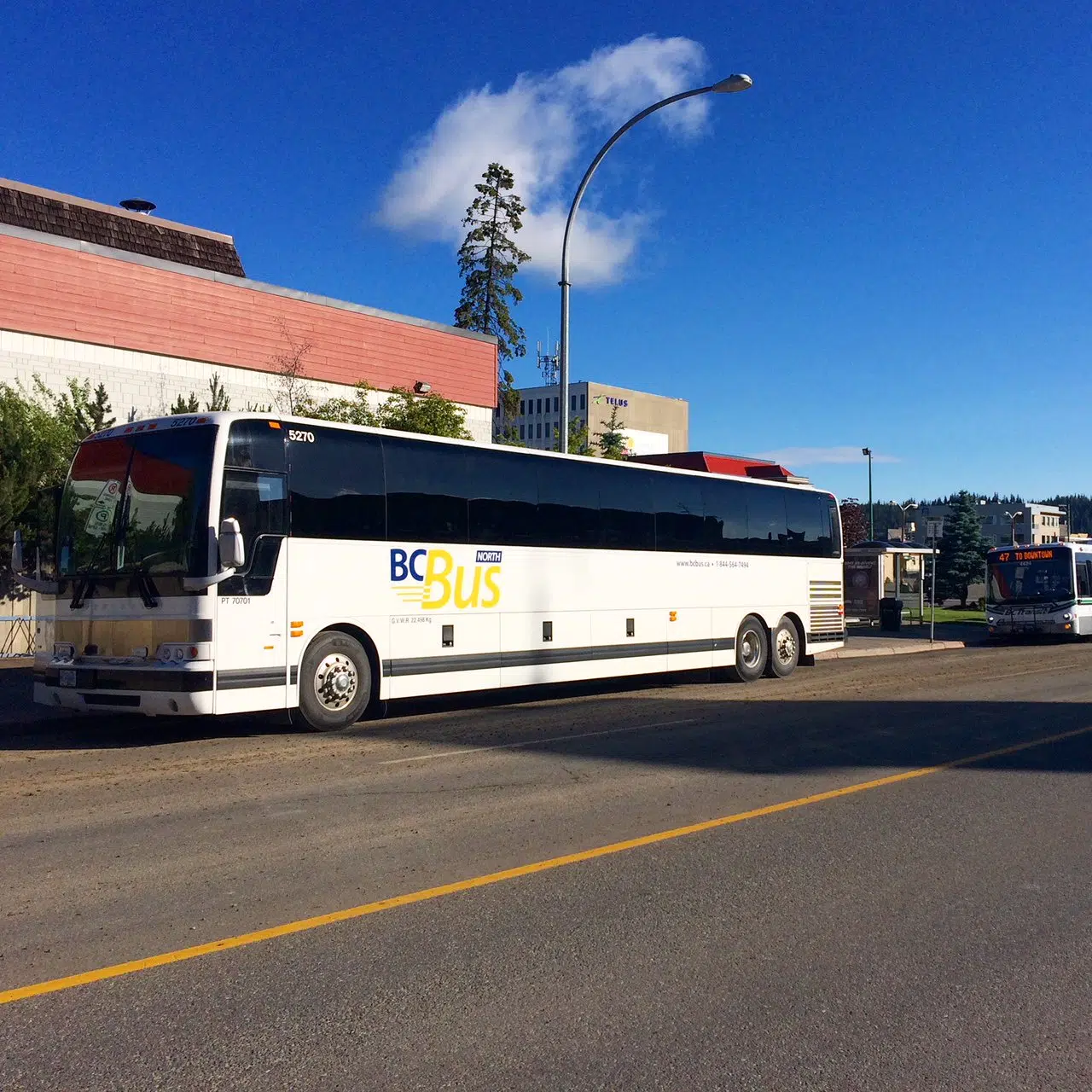 New BC Bus North sees increase in ridership since June launch ...