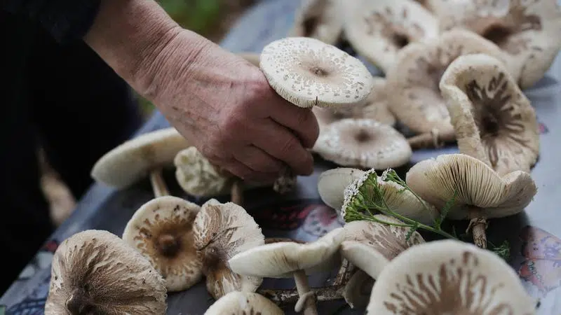 Province and First Nations work together for safe and sustainable ...