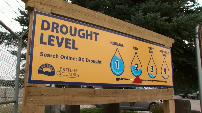 A new sign of drought | CKPGToday.ca