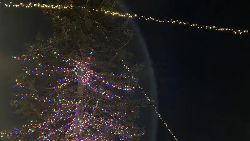 United Way Tree of Lights campaign reaches $25,000 goal | CKPGToday.ca