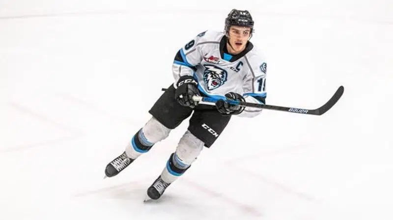 Winnipeg Ice succeeding in first season since relocation, on way to ...