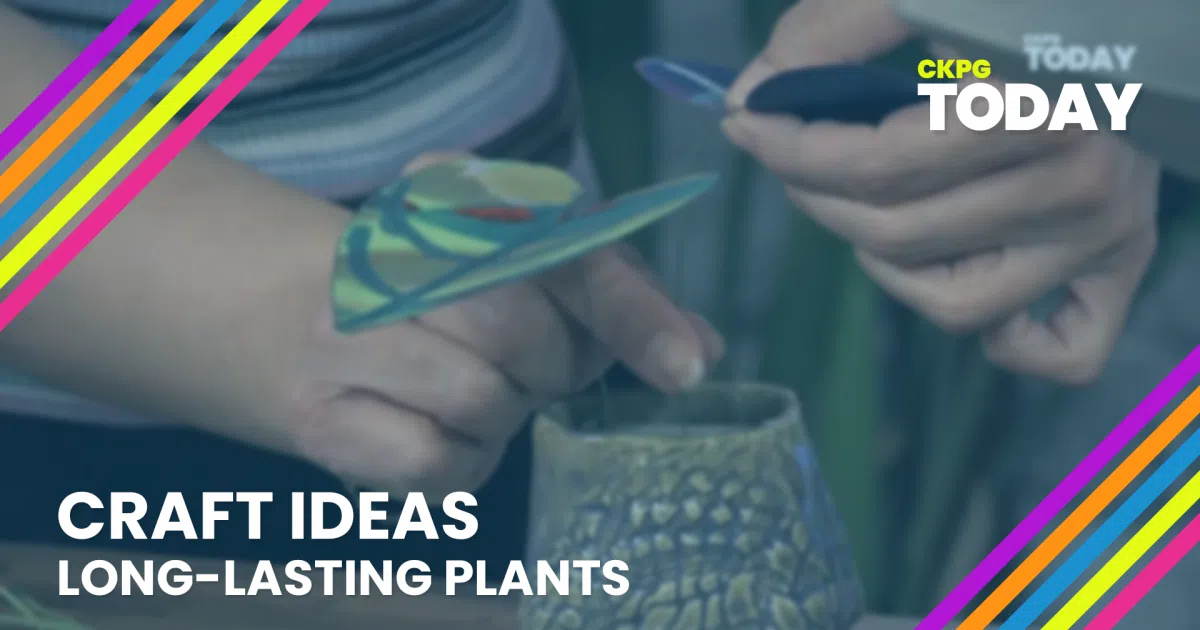 Make your own plants to last forever | CKPGToday.ca