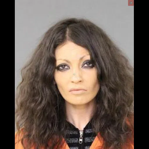 Bradford Woman Arrested On Warrant Wesb B107 5 Fm 1490 Am Wbrr 100