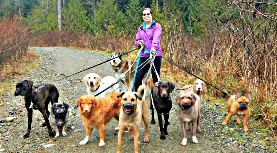 Students with disabilities to benefit from new VIU entrepreneur program ...