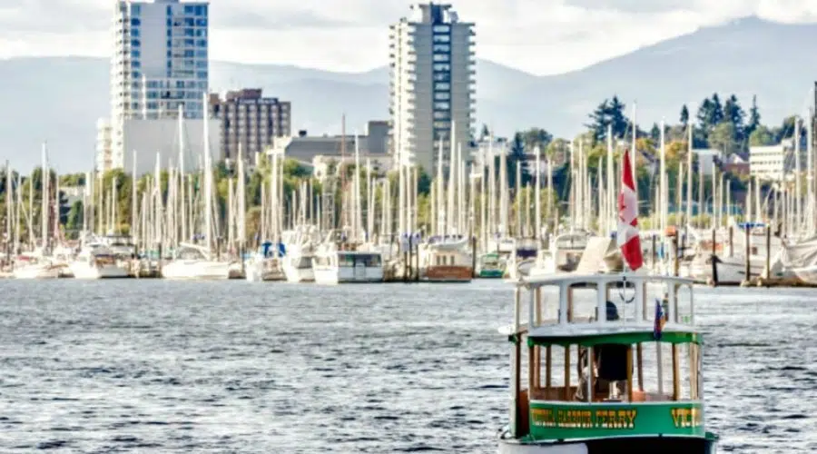 City Council wants to explore replacing Nanaimo Port Authority ...