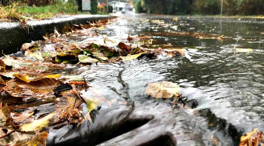 Nanaimo’s dry October gives way to wet November | NanaimoNewsNOW ...