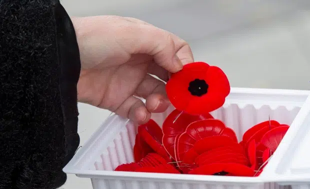 ‘Absolutely despicable:’ poppy donation cans stolen from multiple ...
