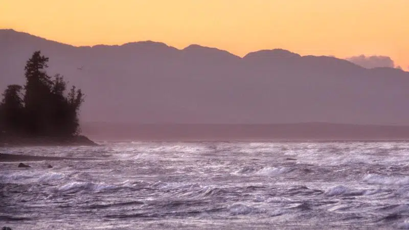 Brief wind storm paints bigger picture of Nanaimo-area readiness for BC ...