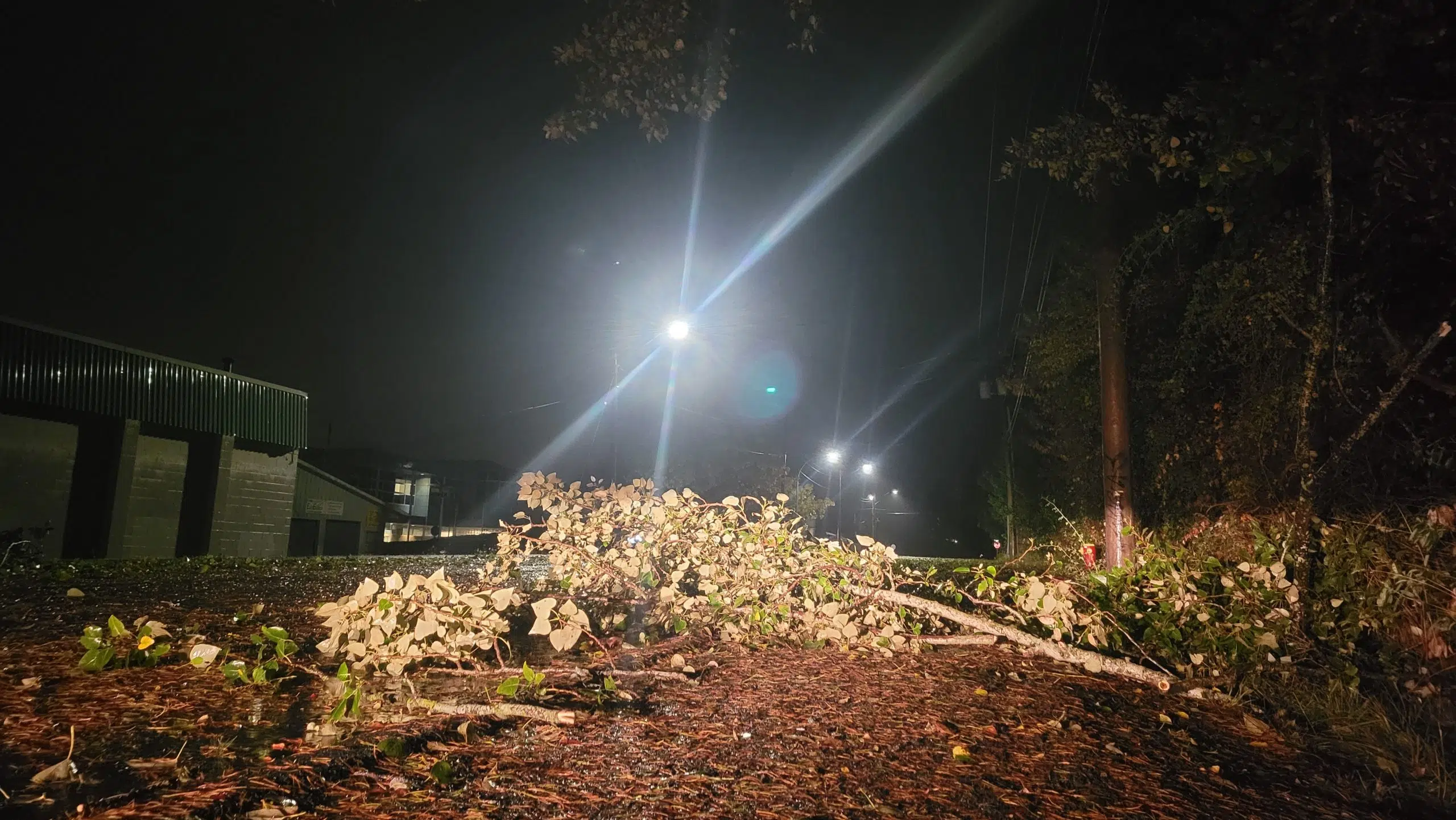 Massive power outage knocks lights out for over 40,000 homes in Nanaimo ...