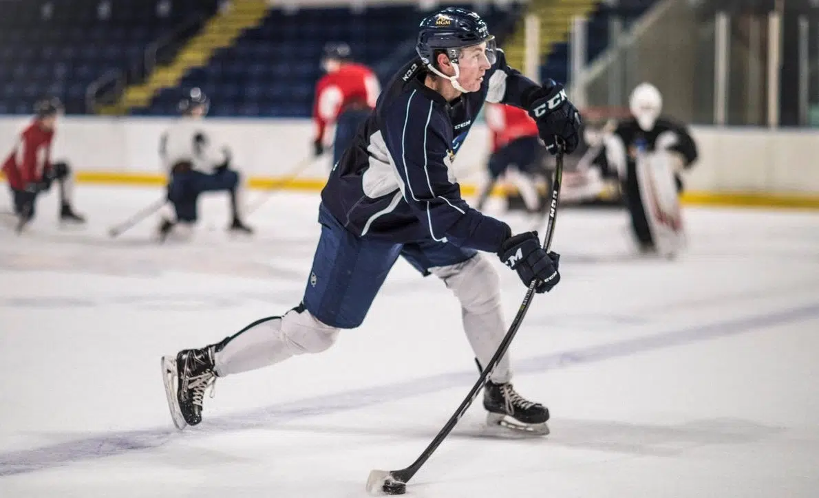 MacPherson makes AHL debut with Springfield Thunderbirds | CHAT News Today