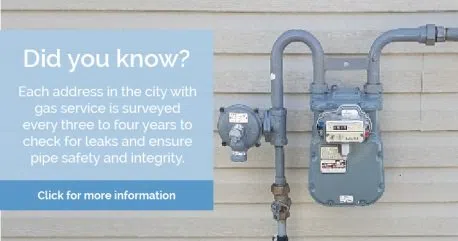 Gas Meter Clearance Inspection Gallery Internachi