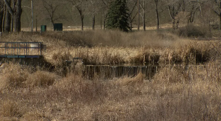 City and clubs hosting spring cleanup for Earth Day | CHAT News Today