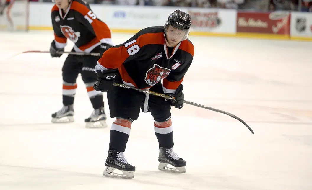 ‘I feel like I’m 100%’: Mason Shaw hungry for first professional ...