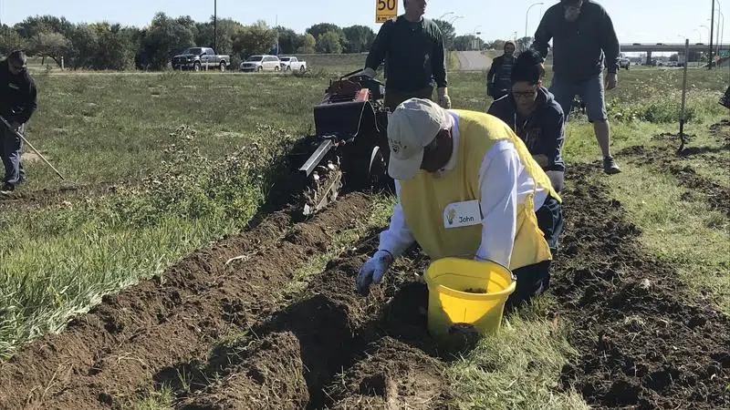 Highway beautification project reaping what it sows | CHAT News Today