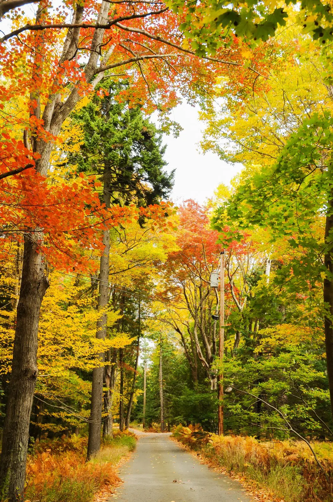 Fabulous Fall Colors Photo Contest | 97 Seven Country WGLR - The Tri ...