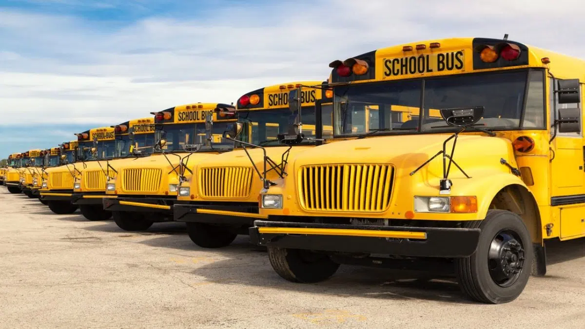Watch Out For School Buses | Fergus Now