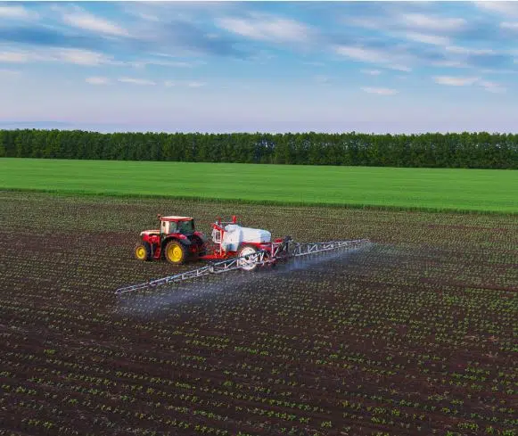 Rothsay Farm Included as Farm Bureau Announces Century Farm Honorees ...