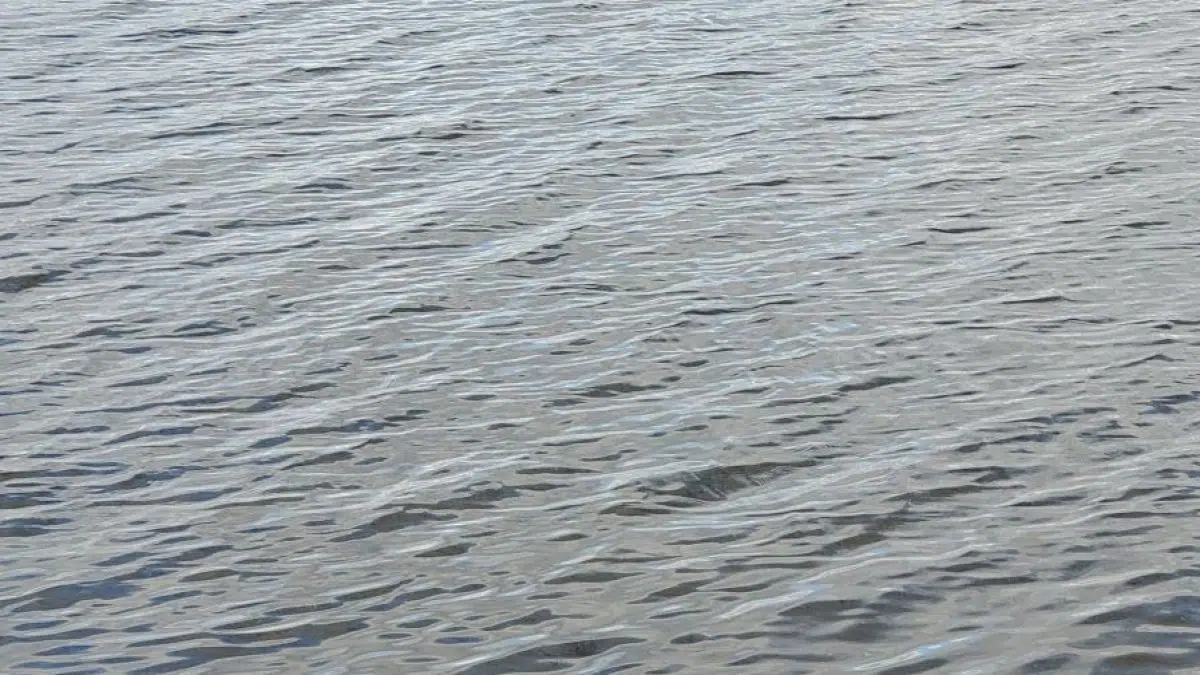 Moorhead Teen Catches $2K While Fishing in Lake of the Woods | Fergus Now