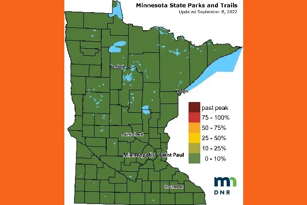 First Fall Color Report Released | Fergus Now