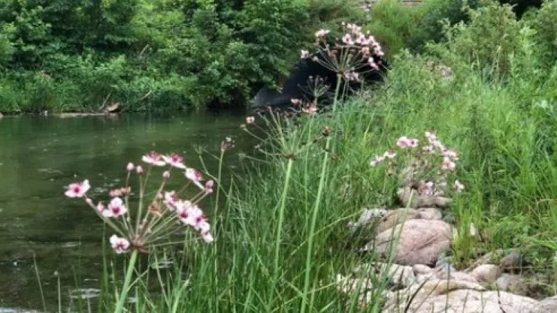 KDLM | Lakes Area Radio