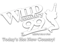 Wild Country 99, Today's Hot New Country