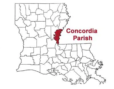 3rd Positive COVID-19 Case in Concordia Parish | ListenUpYall.com
