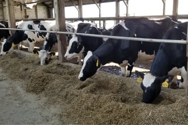 Two Dozen Central Minnesota Farms Honored for Excellence in Quality | KNSI