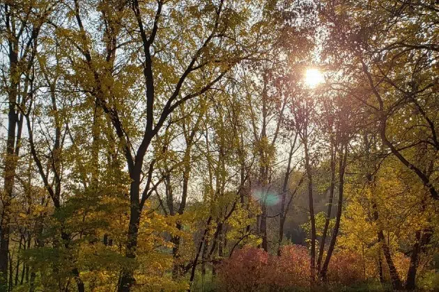 Wright County Parks and Rec Hosts Step Into Spring Hike | KNSI
