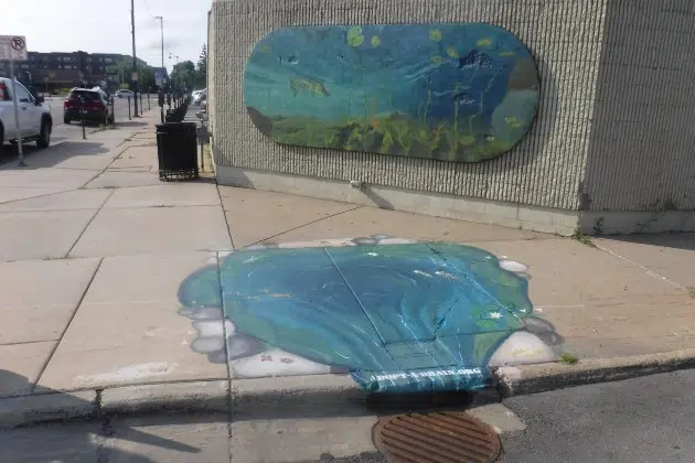 Storm Drain Art Program Expanding With New Murals | KNSI