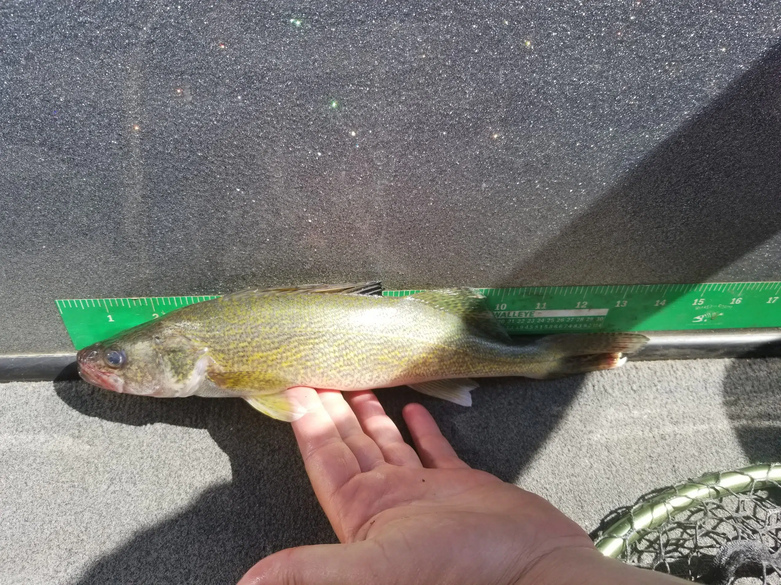 The science of slot limits | The Mighty 790 KFGO | KFGO