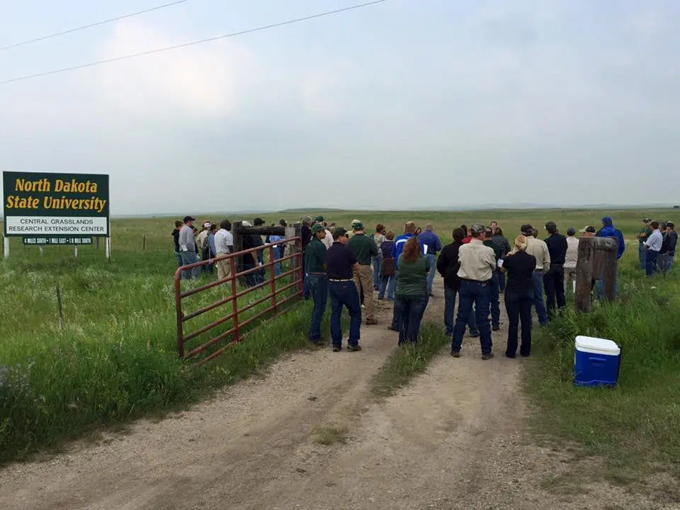 NDSU Extension field day to be held in Streeter, North Dakota goes ...