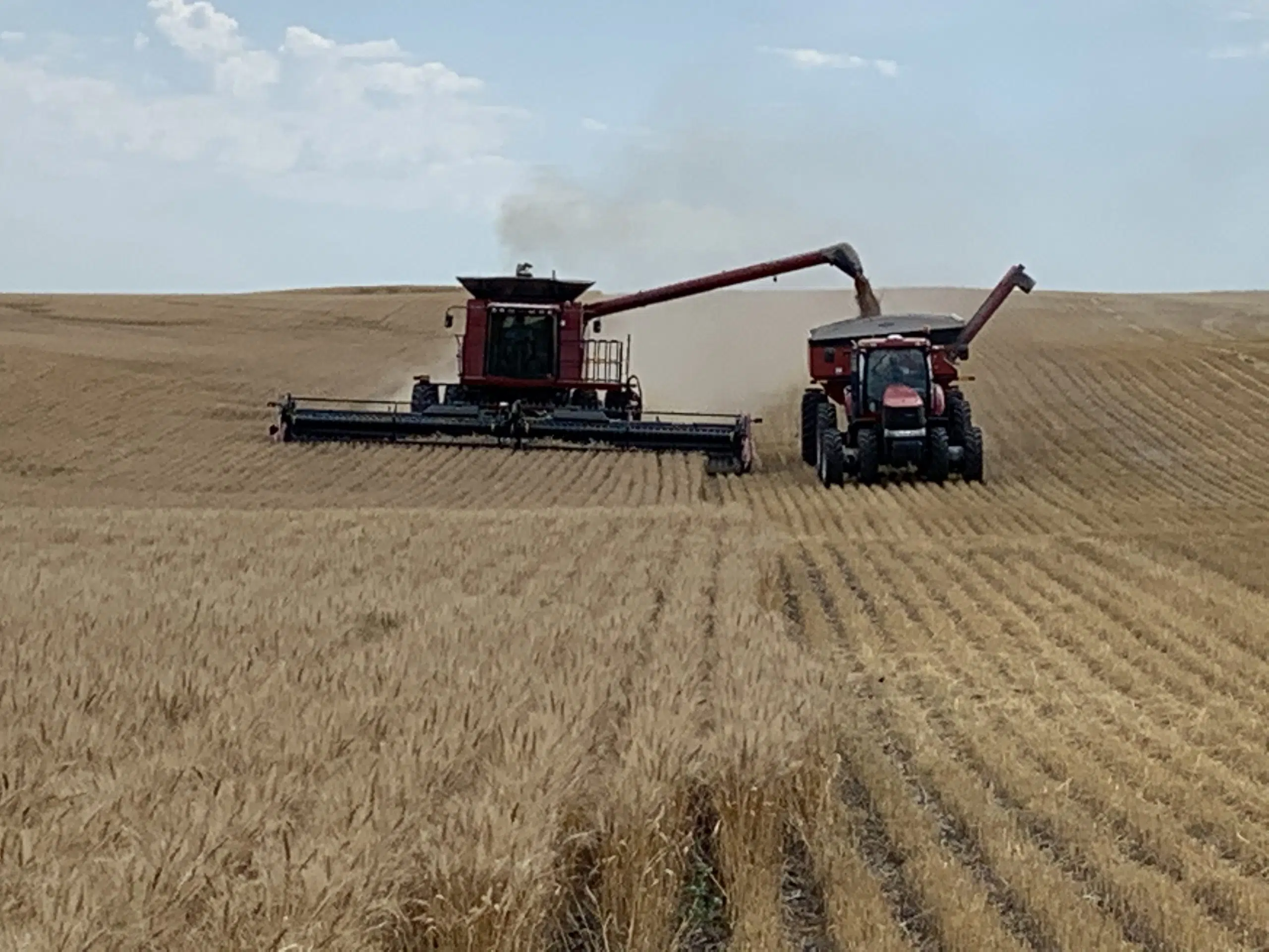 Tri-state crop progress and conditions update for Minnesota, North ...