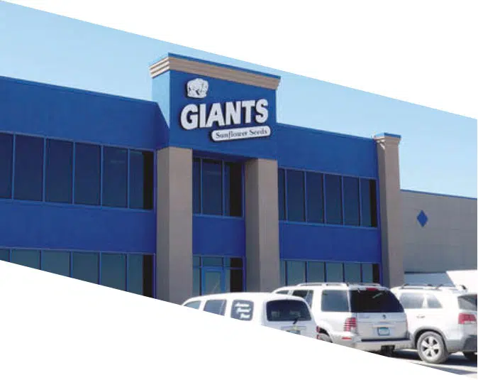 Federal charges filed against former Giant Snacks executive | Y94