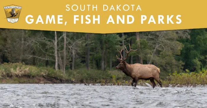 South Dakota GFP Opens Hunt for Habitat | The Mighty 790 KFGO | KFGO