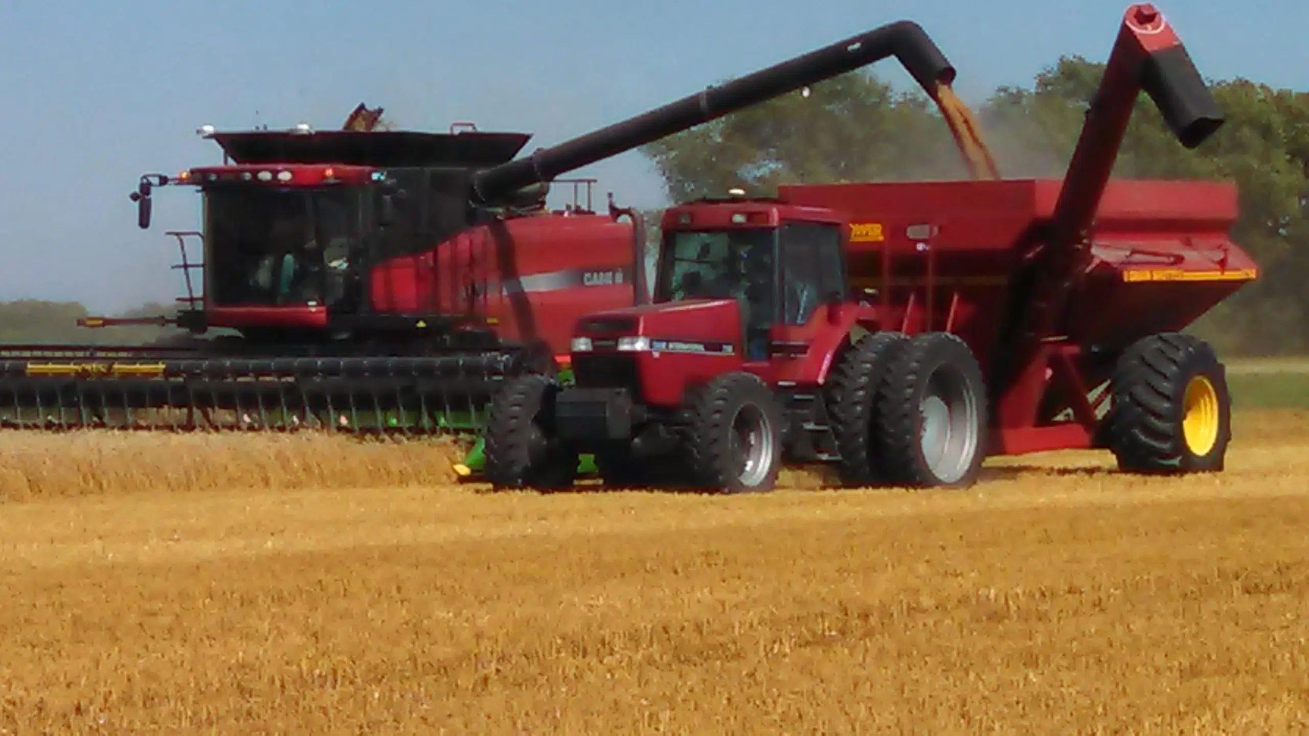 Minnesota farmers enjoyed notable profits in 2020 | The Mighty 790 KFGO ...