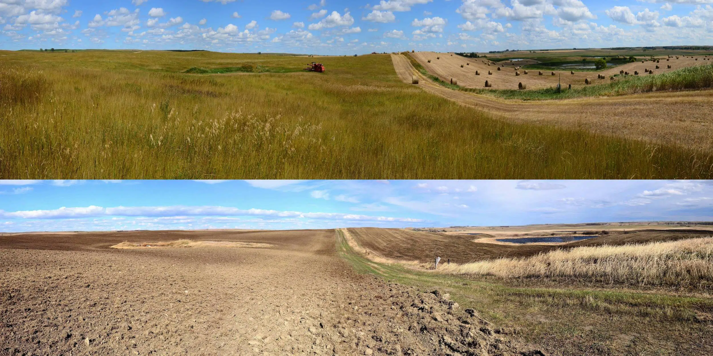 USDA Announces Conservation Reserve Program Signups for 2022 | The ...