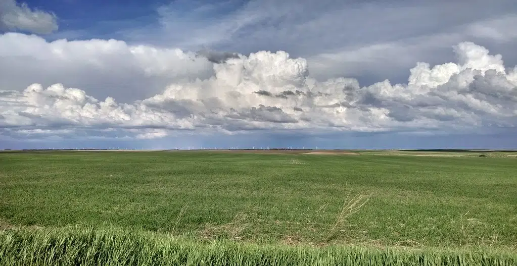 North Dakota outlines plan to restore native grasslands | The Mighty ...