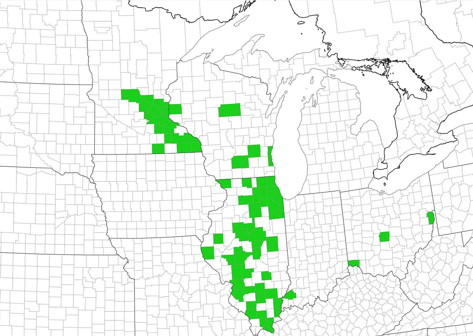 ‘Jumping’ worms found in Minnesota | The Mighty 790 KFGO | KFGO