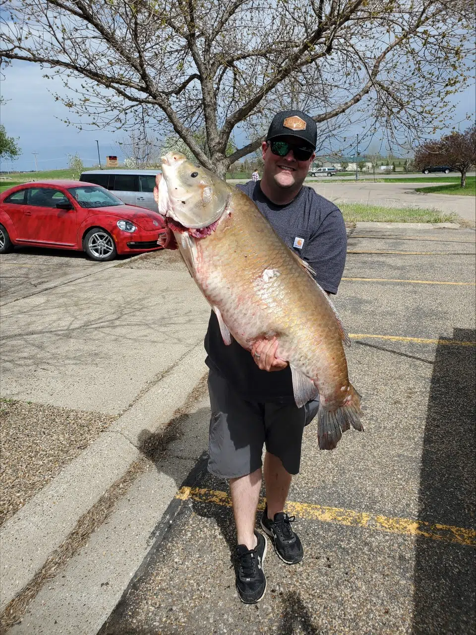 Game and Fish verifies new Buffalo fish record, caught in Heart Butte ...