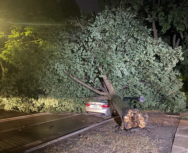 Minnesota storms knock out power to 75,000 customers | The Mighty 790 ...