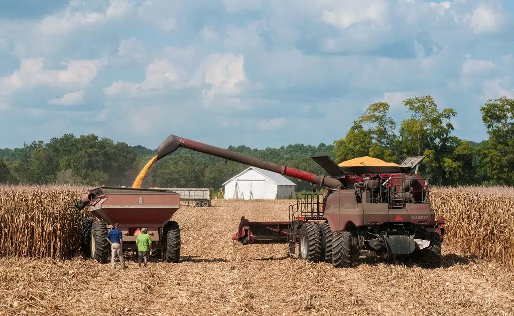 USDA NASS to Review Acreage Information | The Mighty 790 KFGO | KFGO