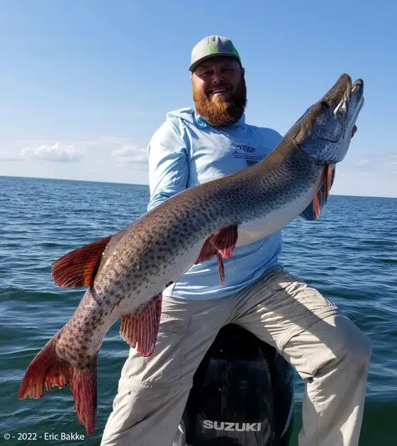 DNR certifies new catch-and-release state record for muskie | The ...