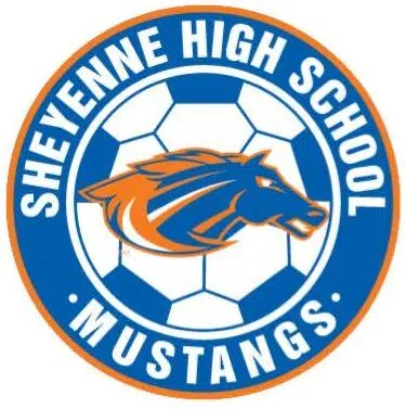 West Fargo Sheyenne boys soccer team cannot play in state tournament ...