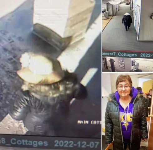 State trooper credited in finding and saving life of missing Detroit ...