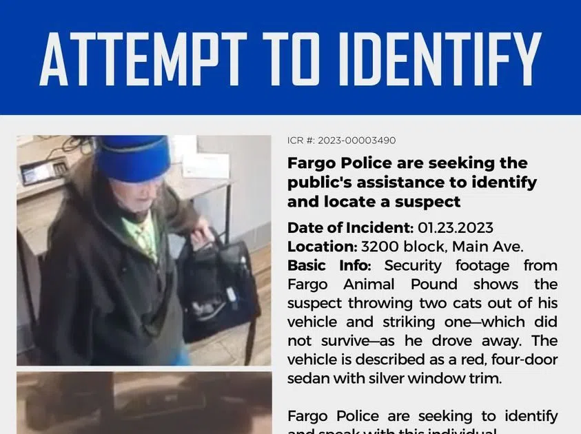 Fargo PD seeks information on man who ran over cat outside animal ...